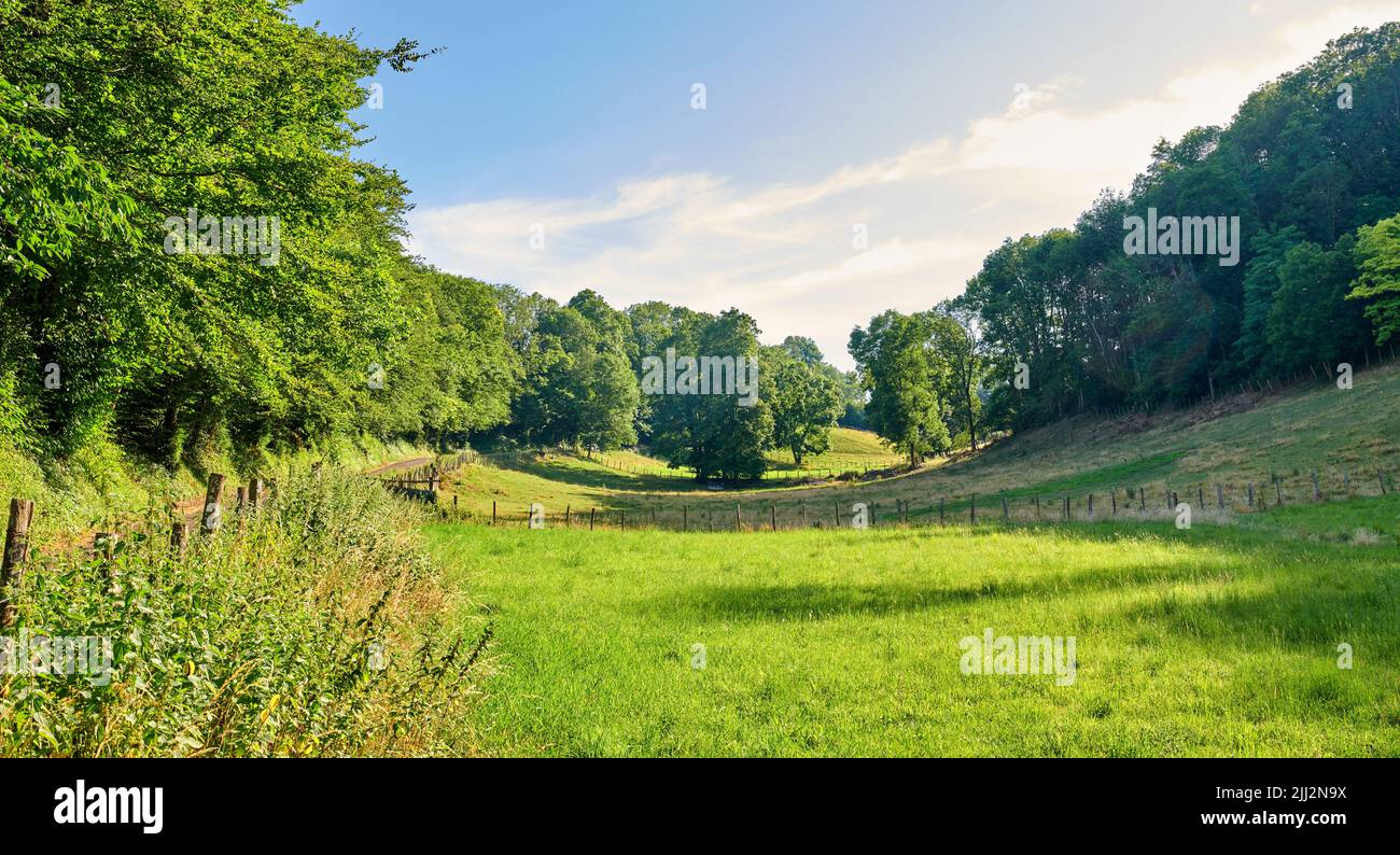 Copyspace and scenic landscape of grassy meadows and forest trees with a cloudy blue sky. Field ...