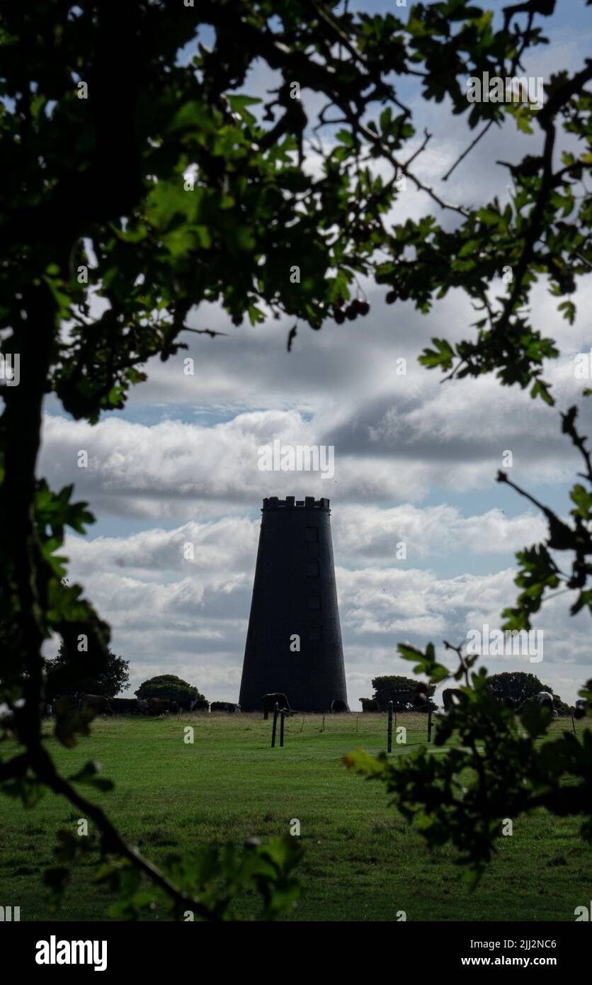 view through trees of Beverley Black Mill on a summers day Stock Photo ...