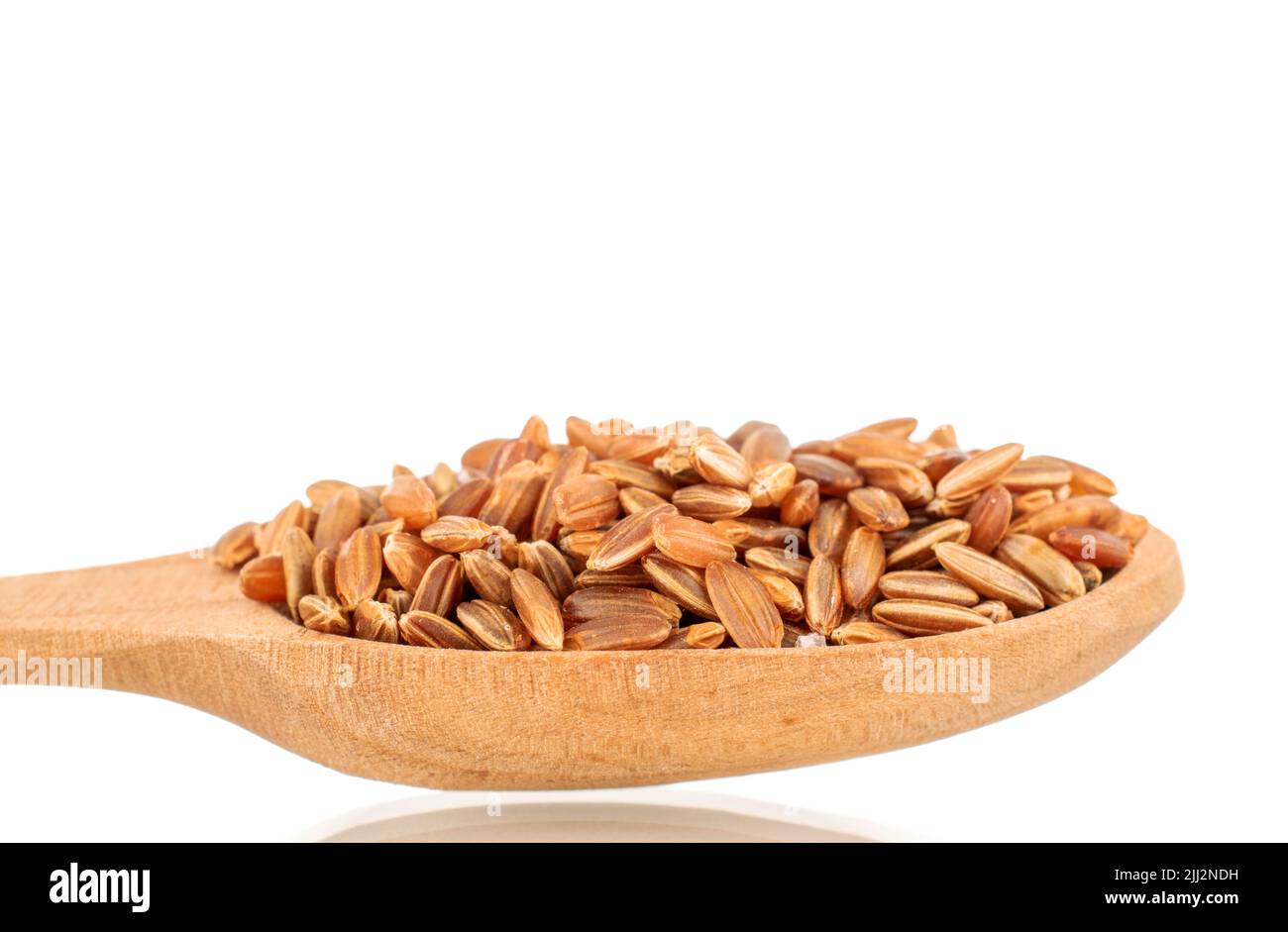 Organic uncooked brown rice with wooden spoon, close-up, isolated on ...