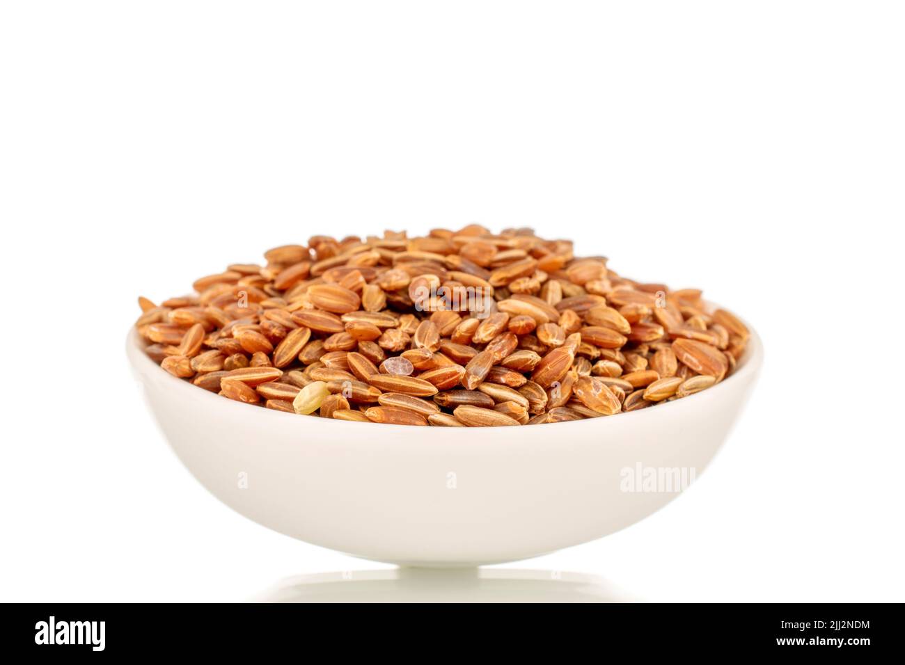 Organic uncooked brown rice in a white ceramic saucer, close-up ...