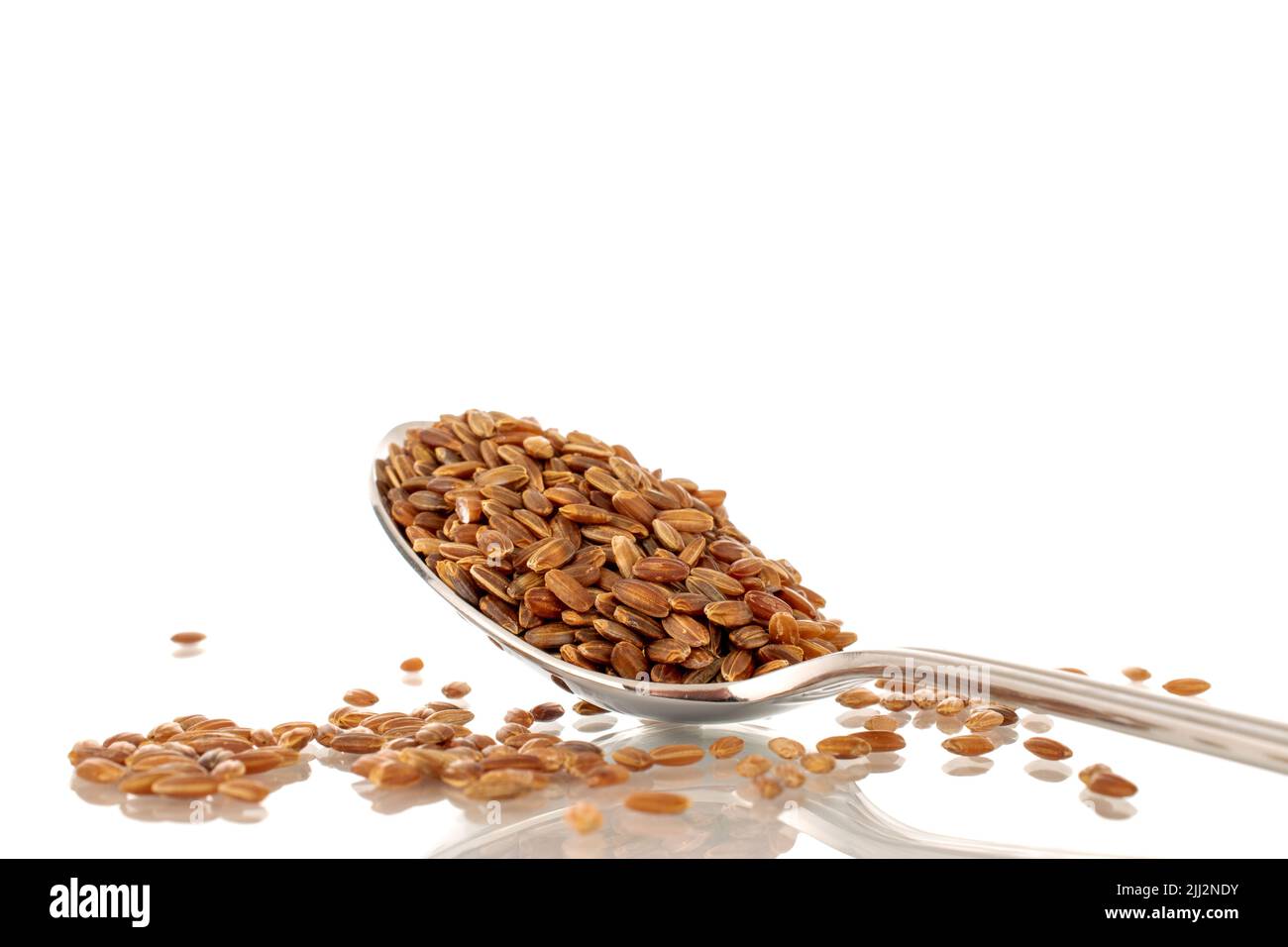 Organic uncooked brown rice with metal spoon, close-up, isolated on ...