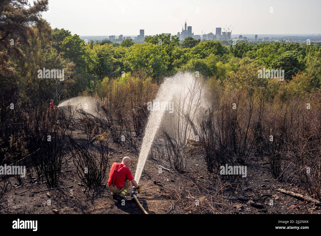 A series of wildfires breaks out across England as the intense heatwave ...