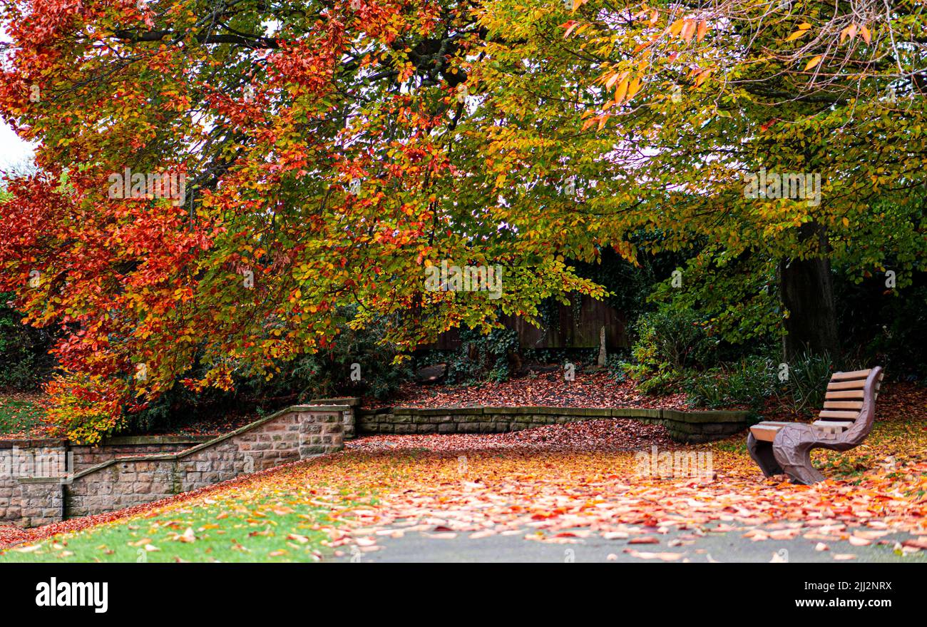 Autumnal scene with a bench in Nottingham's Arboretum Stock Photo - Alamy