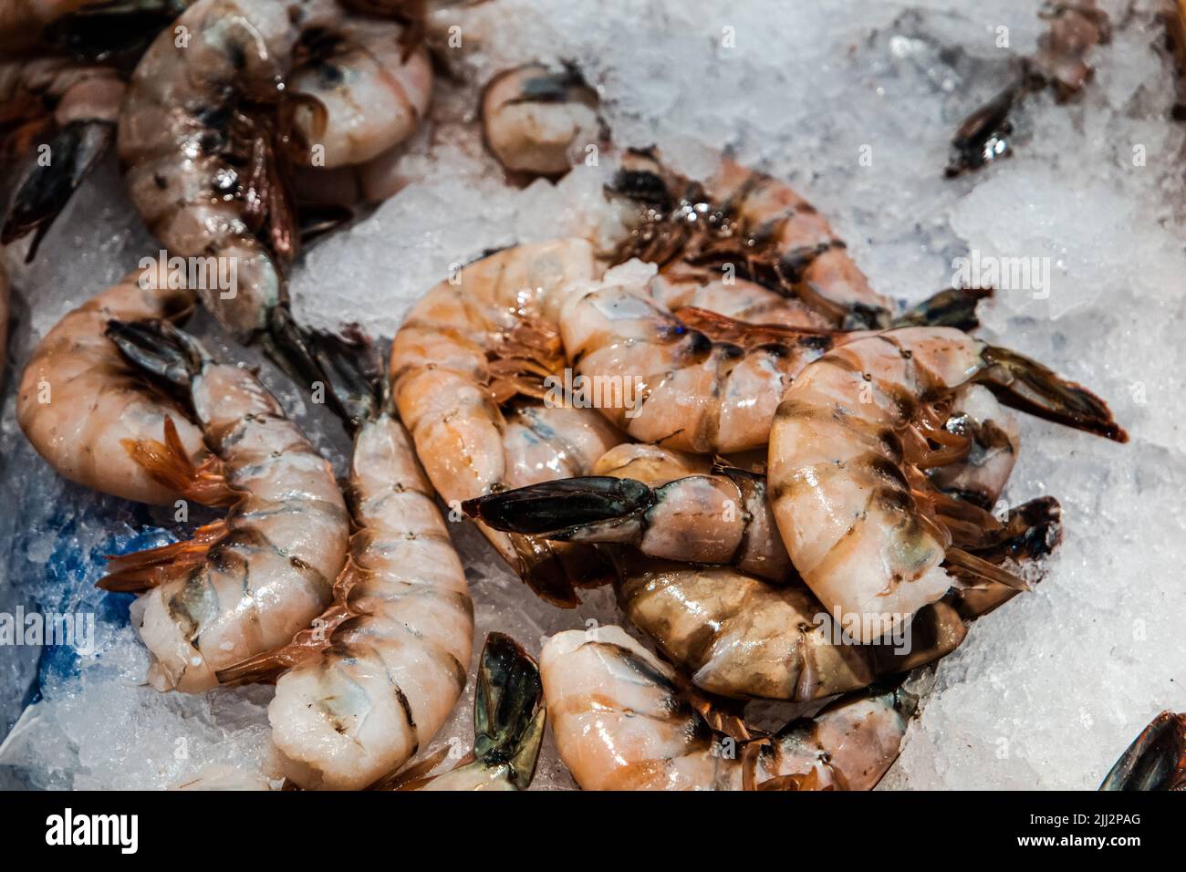 A pile of large pink shrimp sitting on ice at an outdoor farme'r market ...