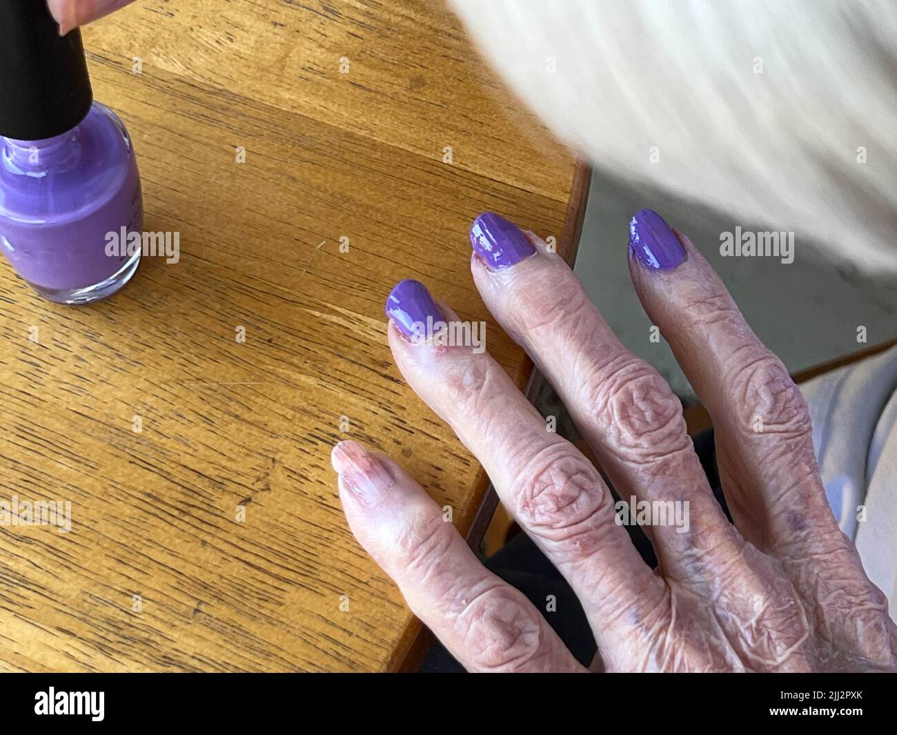 Elderly senior grandmother polishing her fingernails with purple polish ...