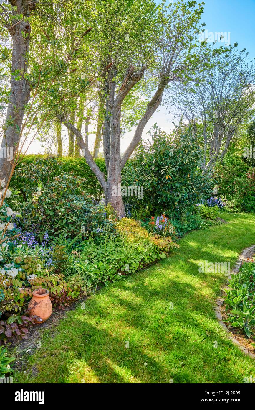 Vibrant garden setting with flowers, plants and a lush lawn with green ...