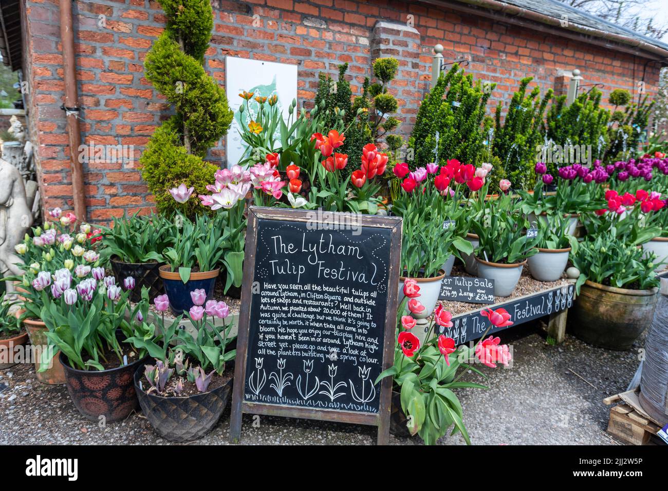 Lytham tulip festival, Lytham Hall Café & Tearoom, Lytham Hall, 18th ...