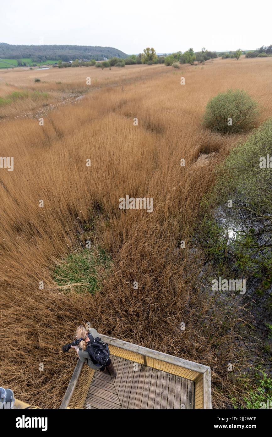 Rspb nature reserves england hi-res stock photography and images - Alamy