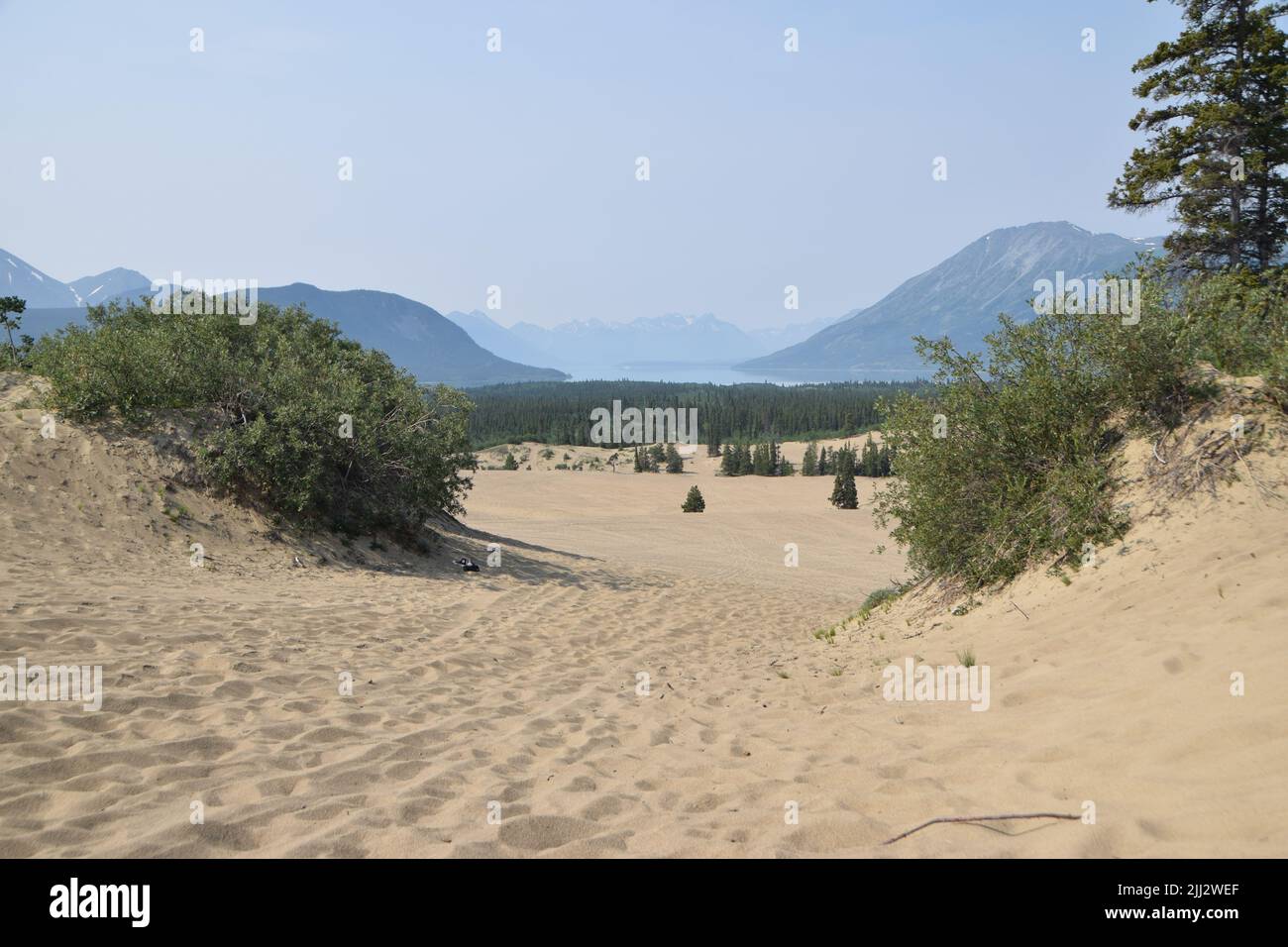 Carcross Desert In Yukon Stock Photo - Alamy