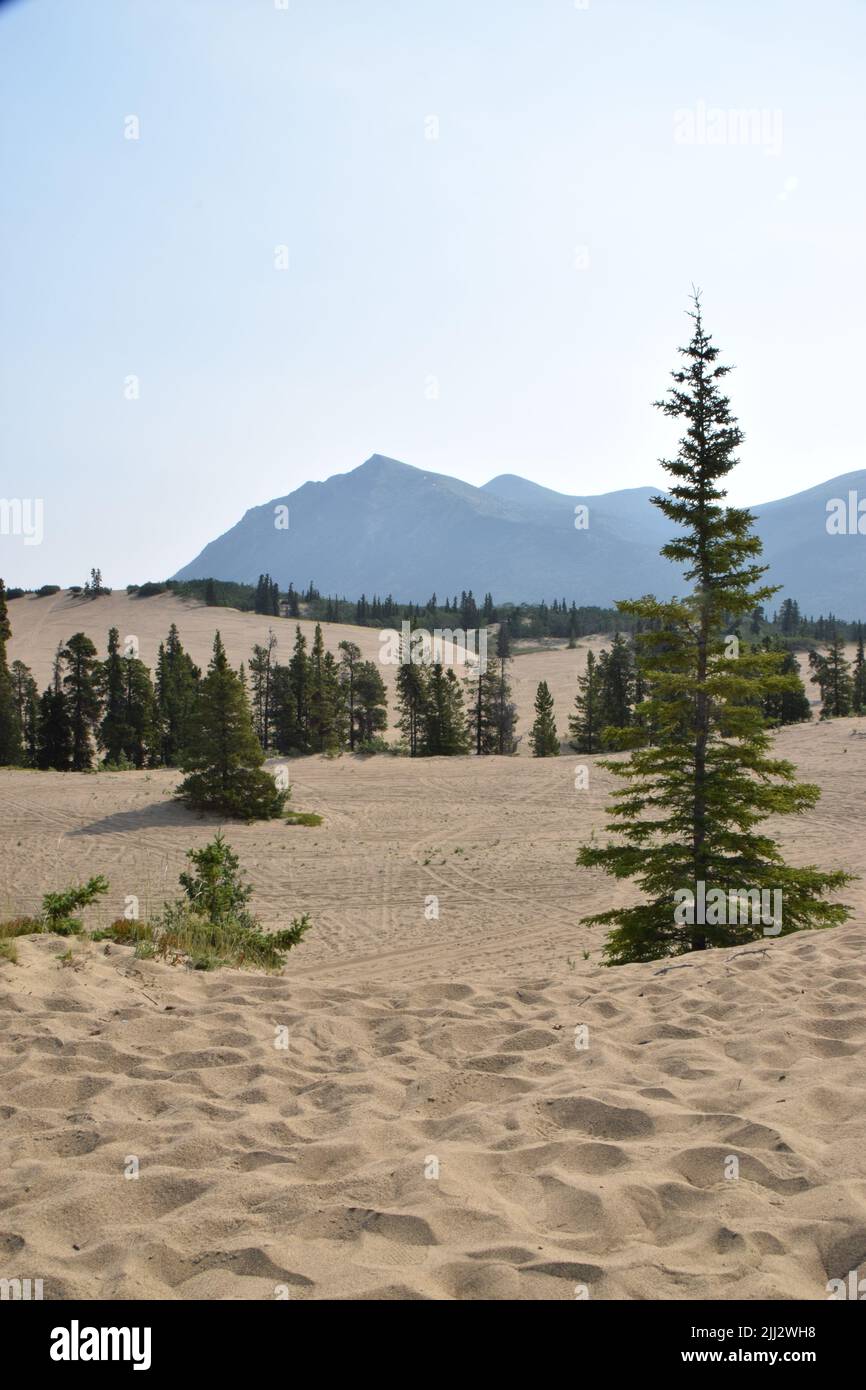 Carcross desert hi-res stock photography and images - Alamy