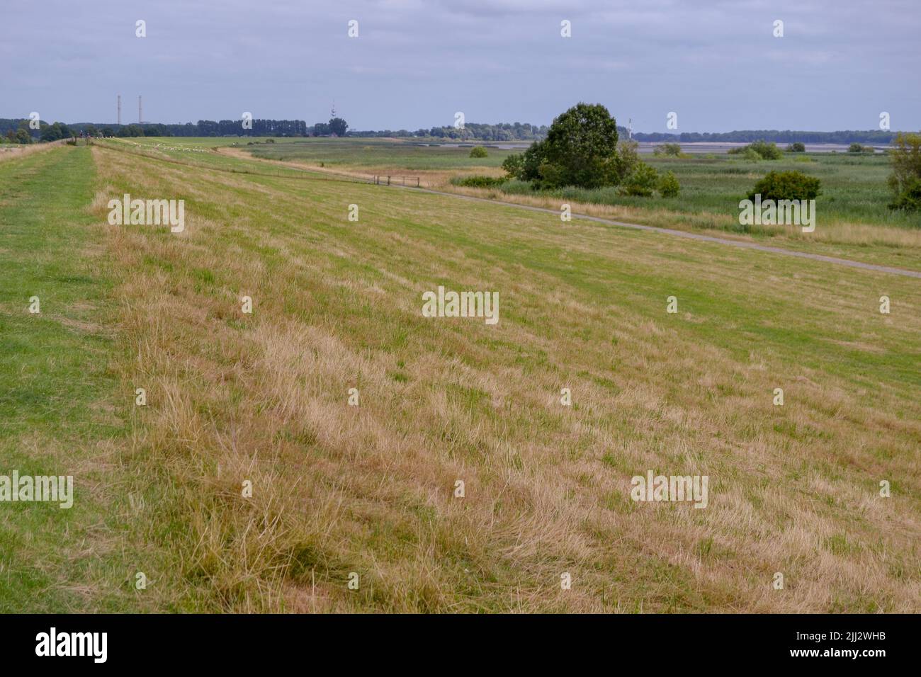 Marsh nature scenery hi-res stock photography and images - Alamy