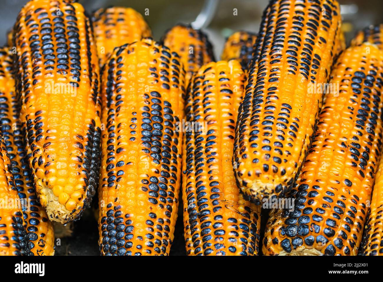 Grilled, roasted sweet corn ready to sell at a street food festival ...