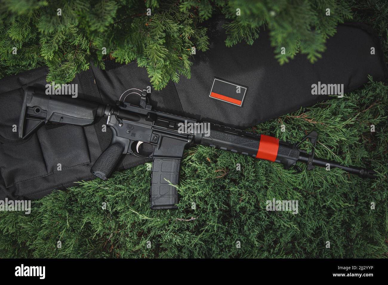 Modern carabiner and case for transportation and storage. Weapons for ...