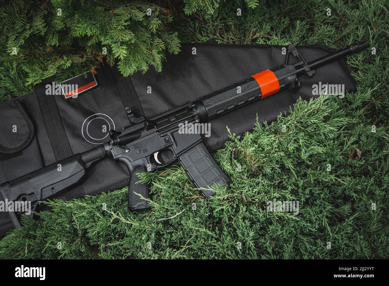 Modern carabiner and case for transportation and storage. Weapons for ...