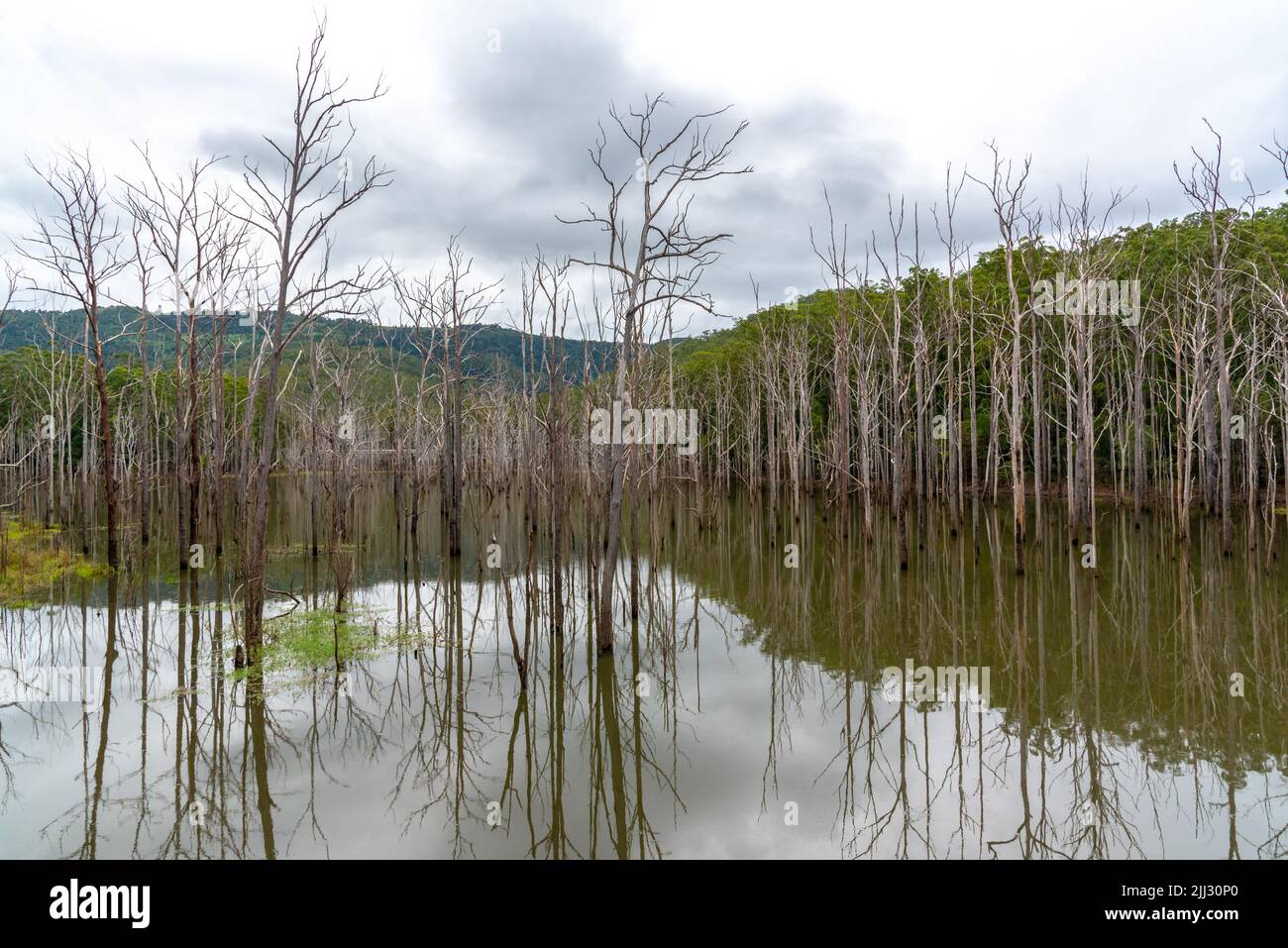 Southern queensland country hi-res stock photography and images - Alamy