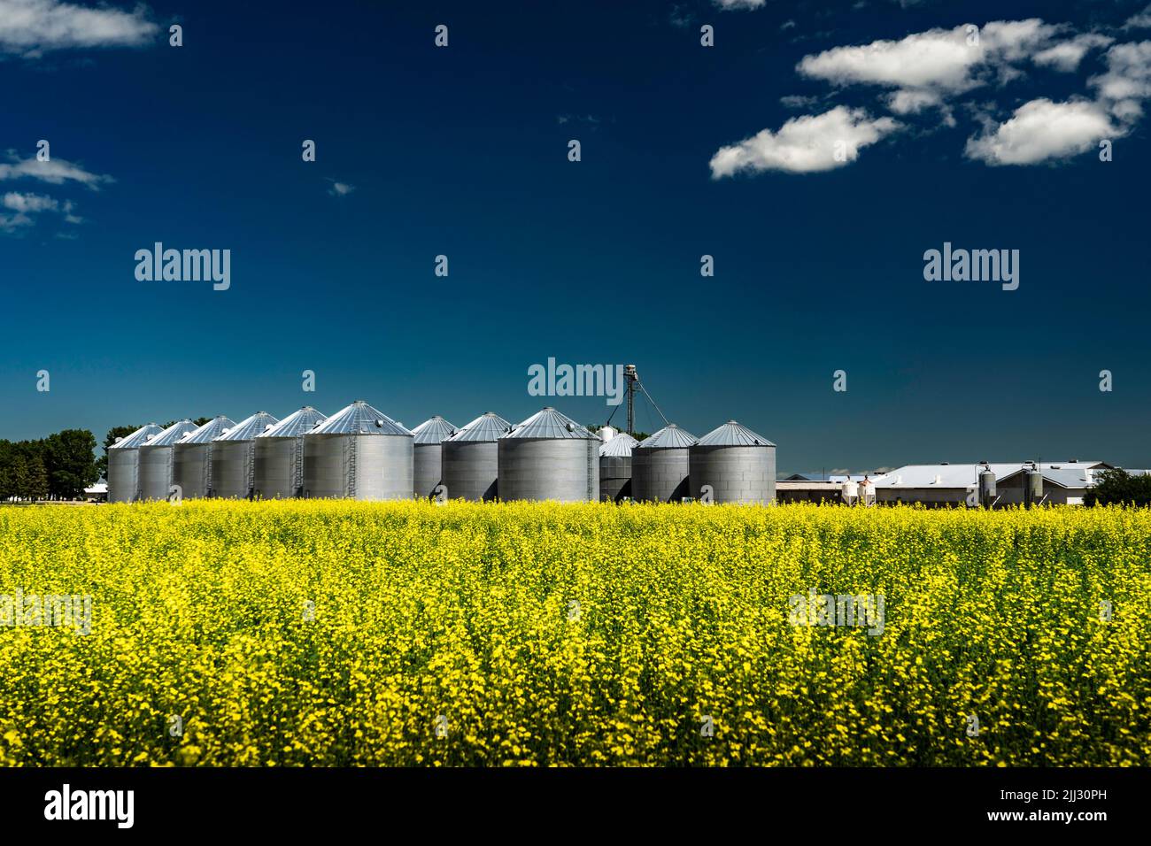 Large scale farming hi-res stock photography and images - Alamy
