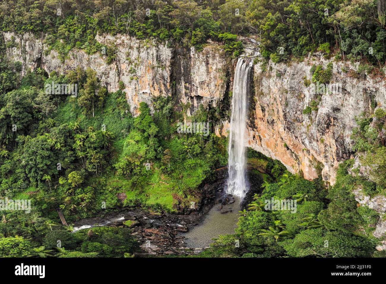 Aerial view of beautiful lush rainforest in Springbrook National Park with bright, healthy ...