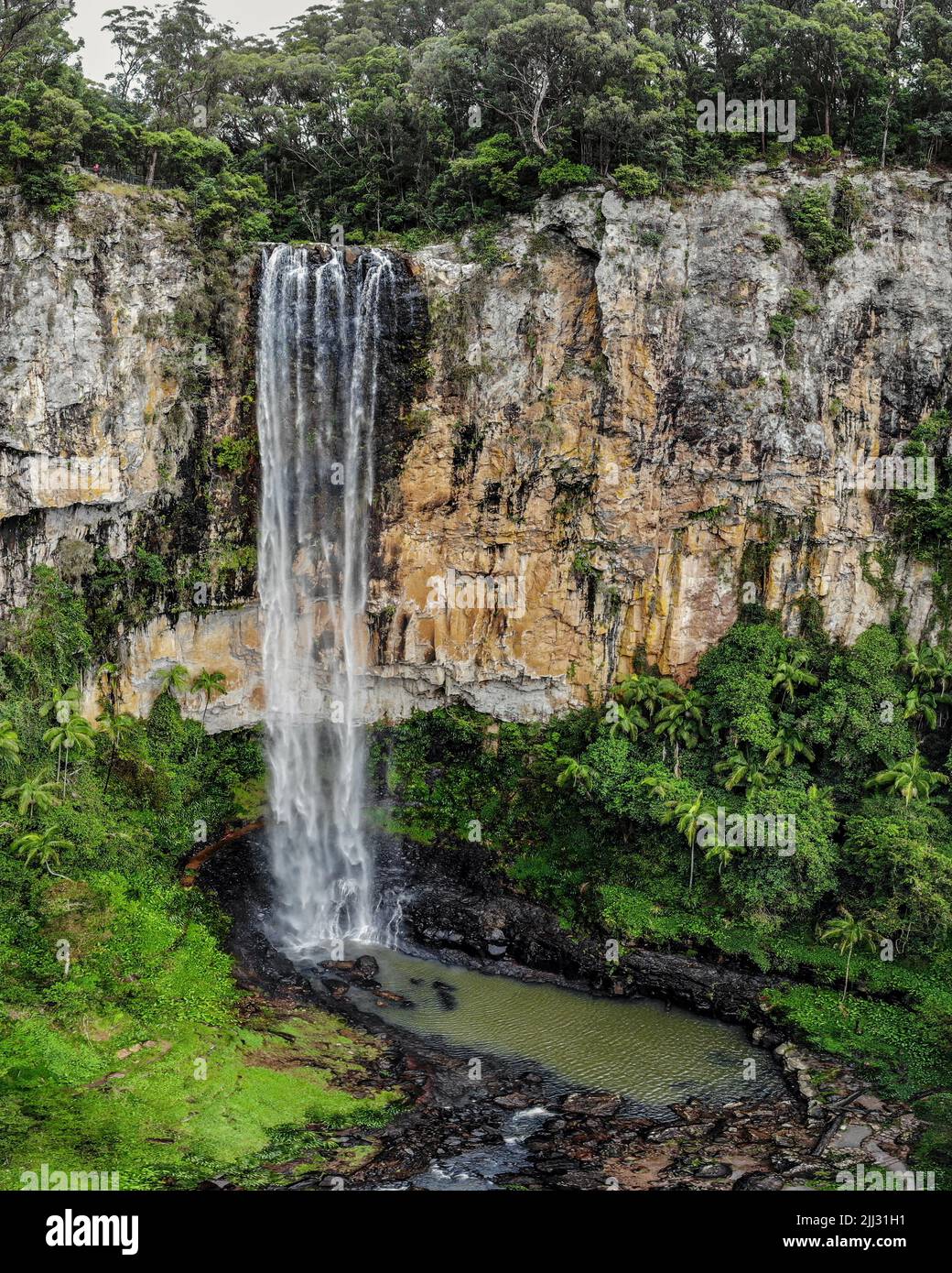 Landscape rainforest views in Springbrook National Park with incredible ...