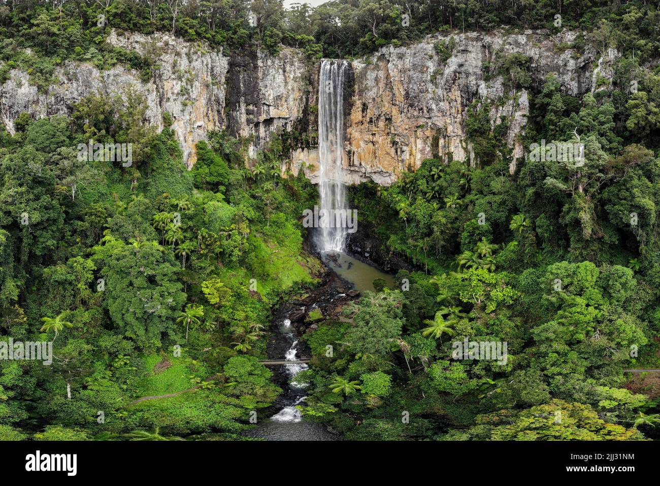 Landscape rainforest views in Springbrook National Park with incredible ...
