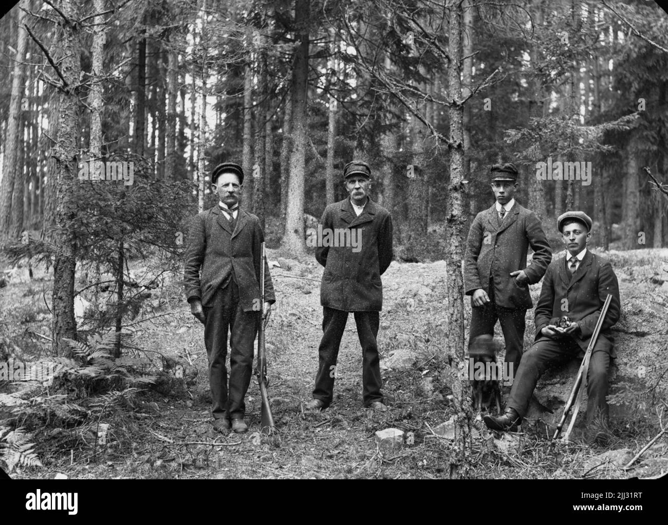 Hunters dogs Black and White Stock Photos & Images - Alamy