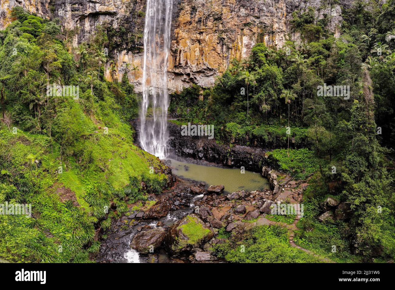 Landscape rainforest views in Springbrook National Park with incredible ...