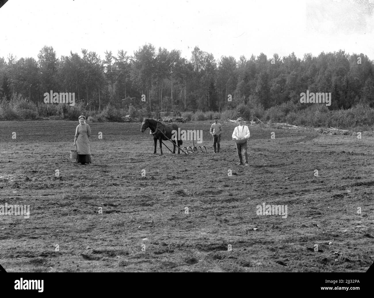 Horse plowing field hi-res stock photography and images - Alamy
