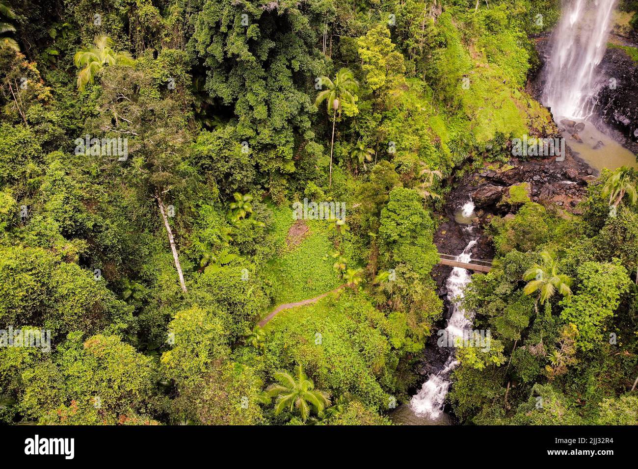 Aerial view of beautiful lush rainforest in Springbrook National Park ...