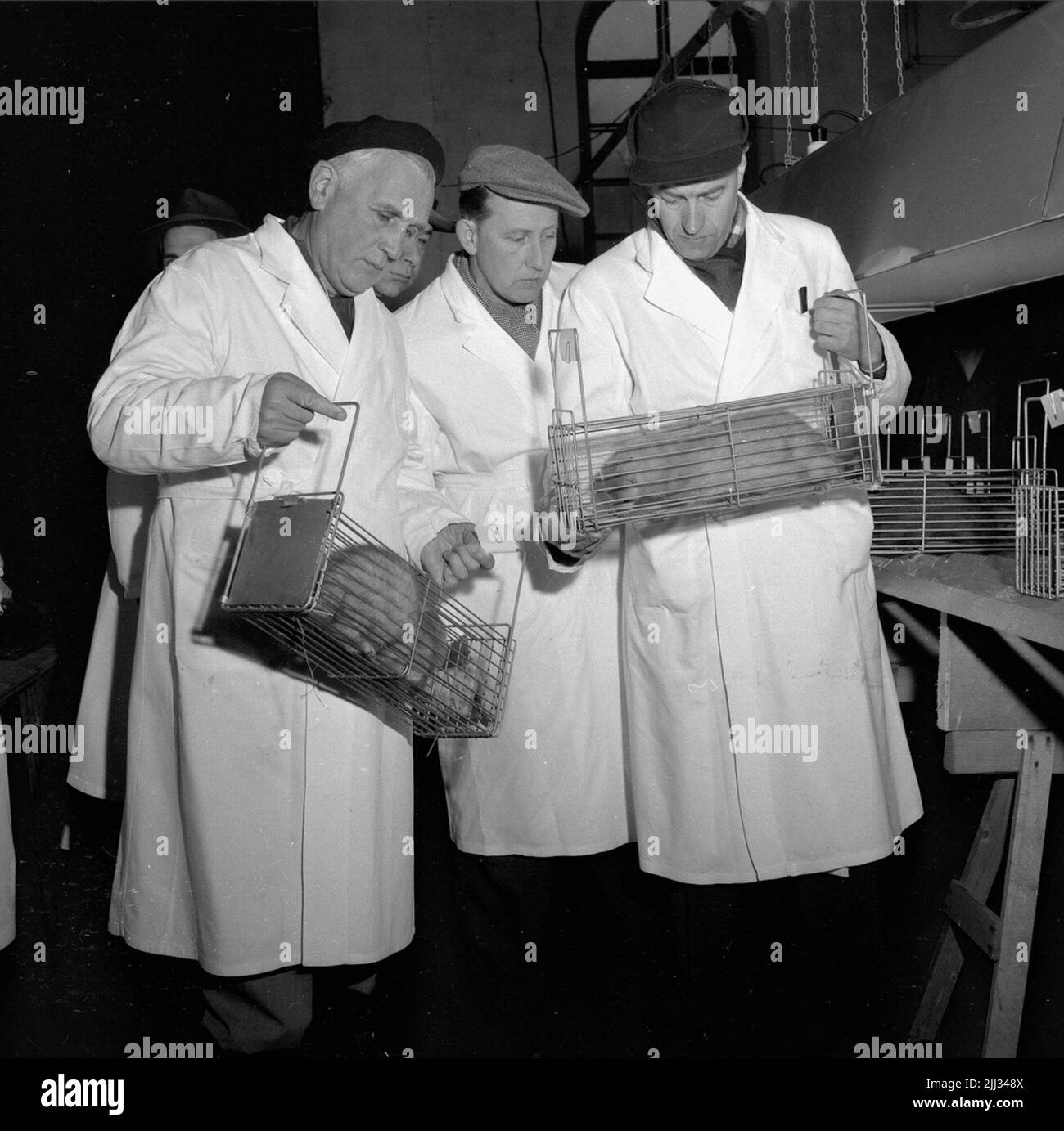 Swedish farm in old Black and White Stock Photos & Images - Alamy