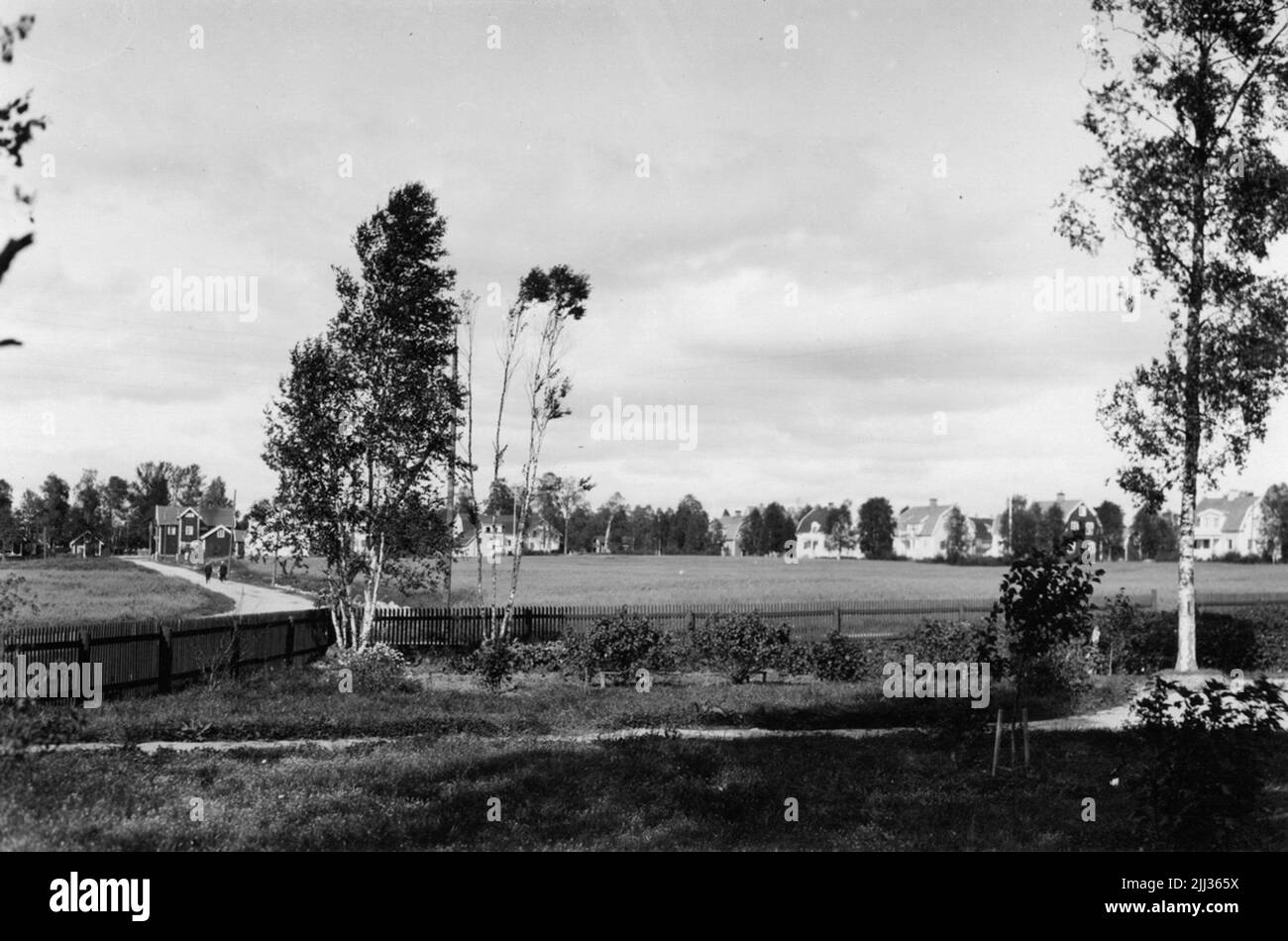 Habitat meadows Black and White Stock Photos & Images - Alamy