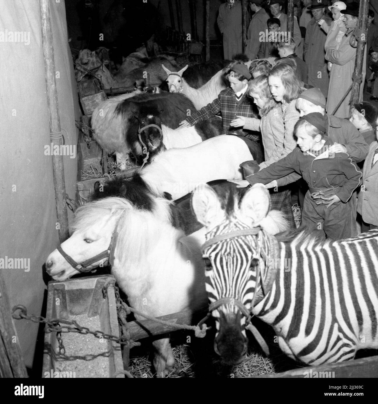 Circus tent art Black and White Stock Photos & Images - Alamy