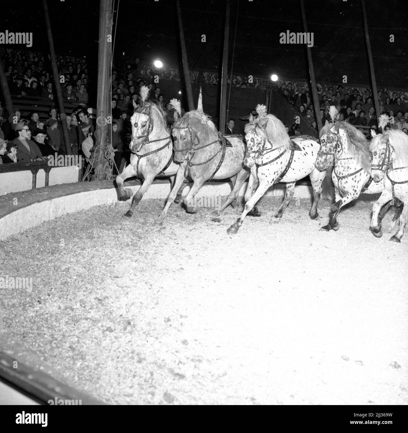 Stan page hi-res stock photography and images - Alamy