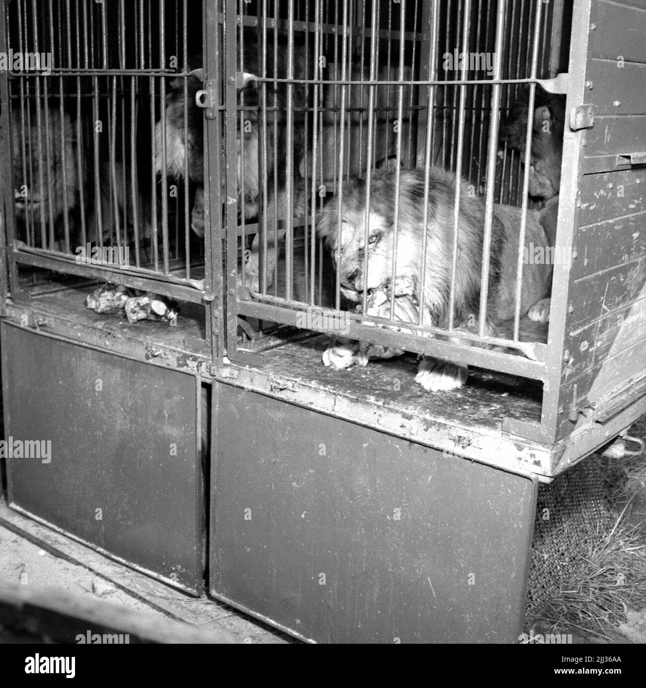 Circus canvas Black and White Stock Photos & Images - Alamy