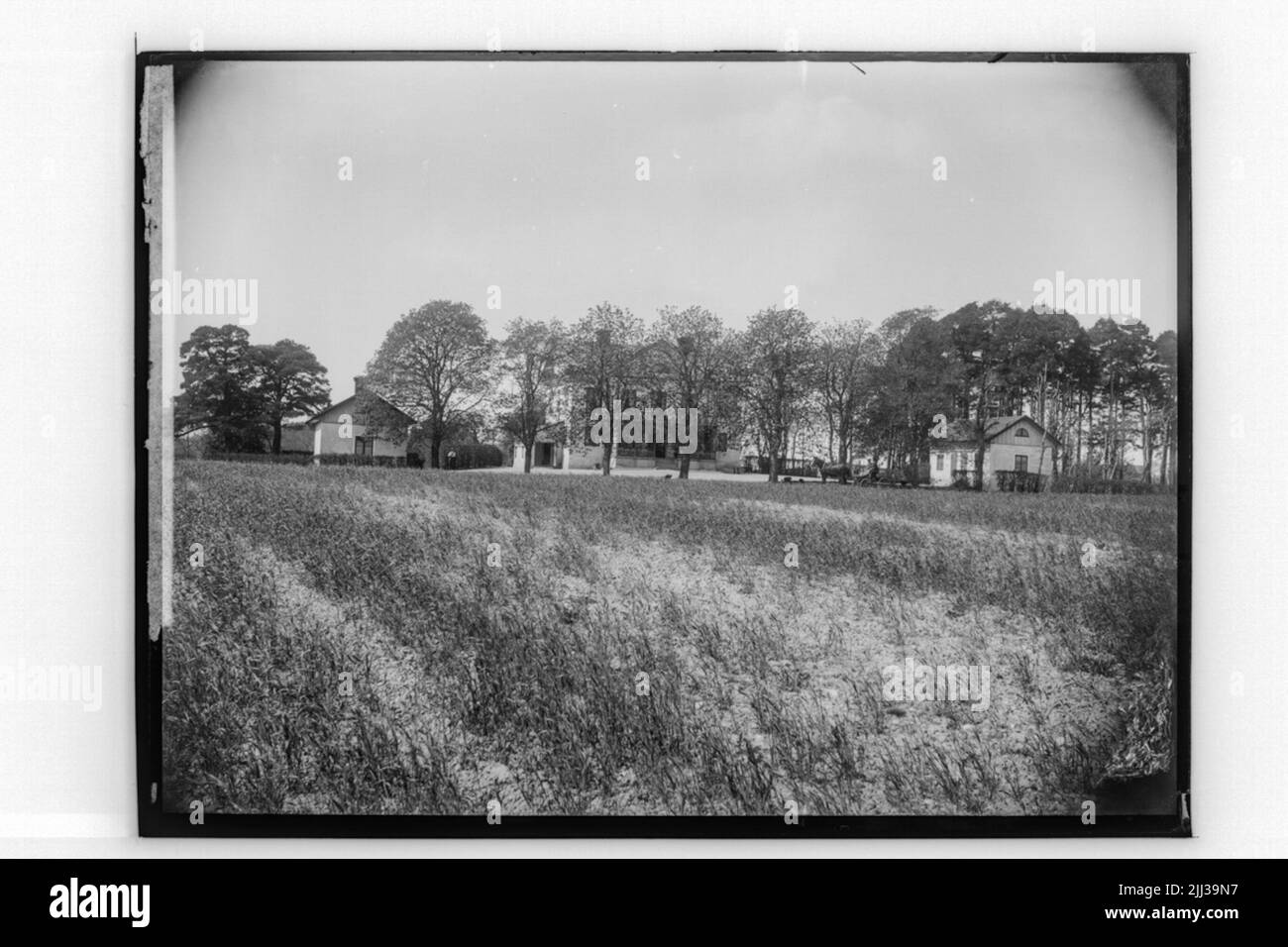 Building, front. Patron Meijer Stock Photo - Alamy