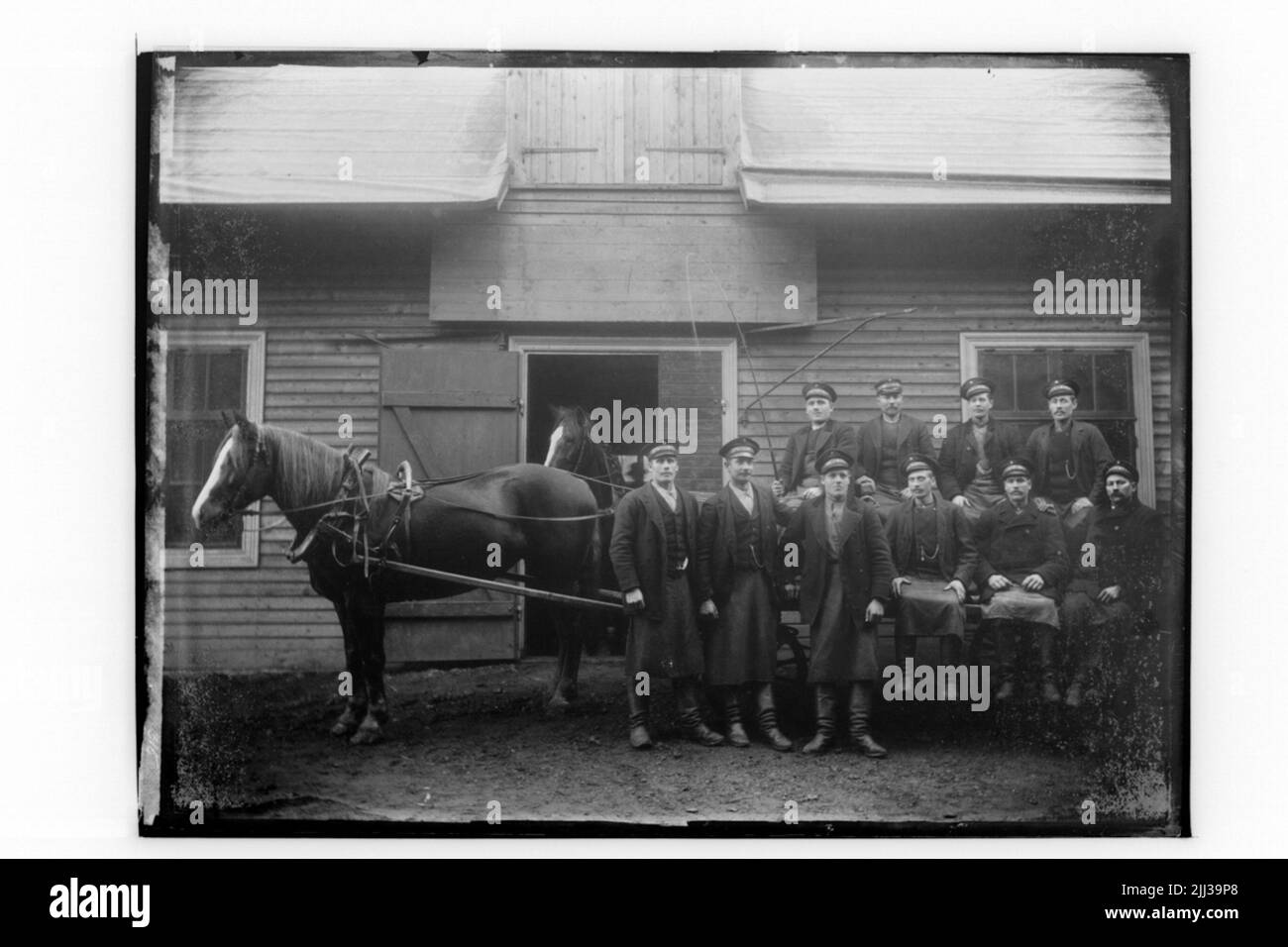 Express shooters, 10 cows and horse with a trolley Stock Photo - Alamy