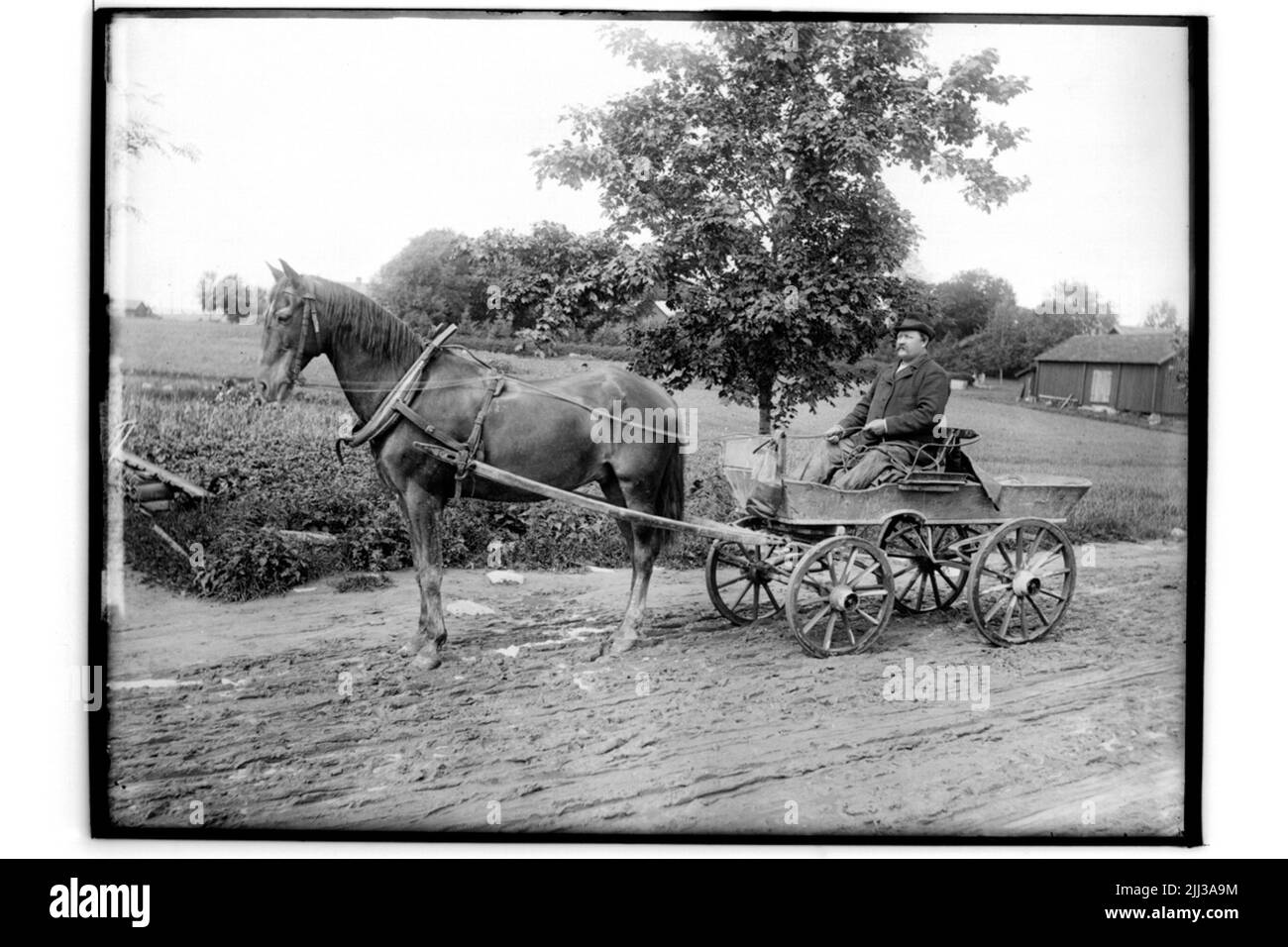 Horse and carriage, a man in the carriage. Slapter Stenell Stock Photo ...