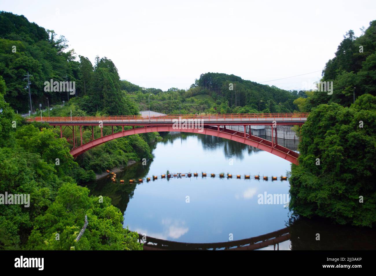 Bridge across river in green rainforest area in Japan in summer Stock ...