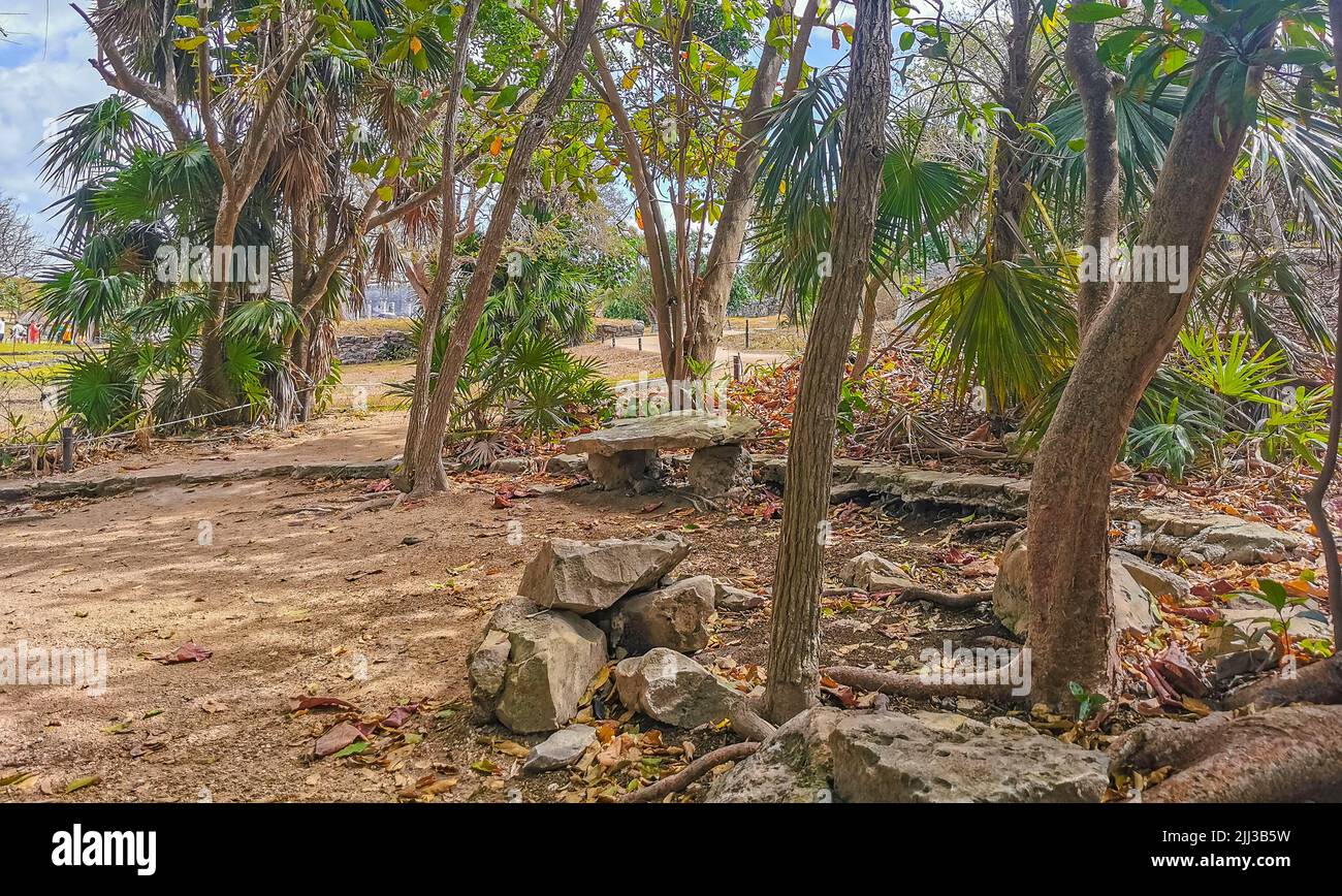 Ancient Tulum ruins Mayan site with temple ruins pyramids and artifacts ...