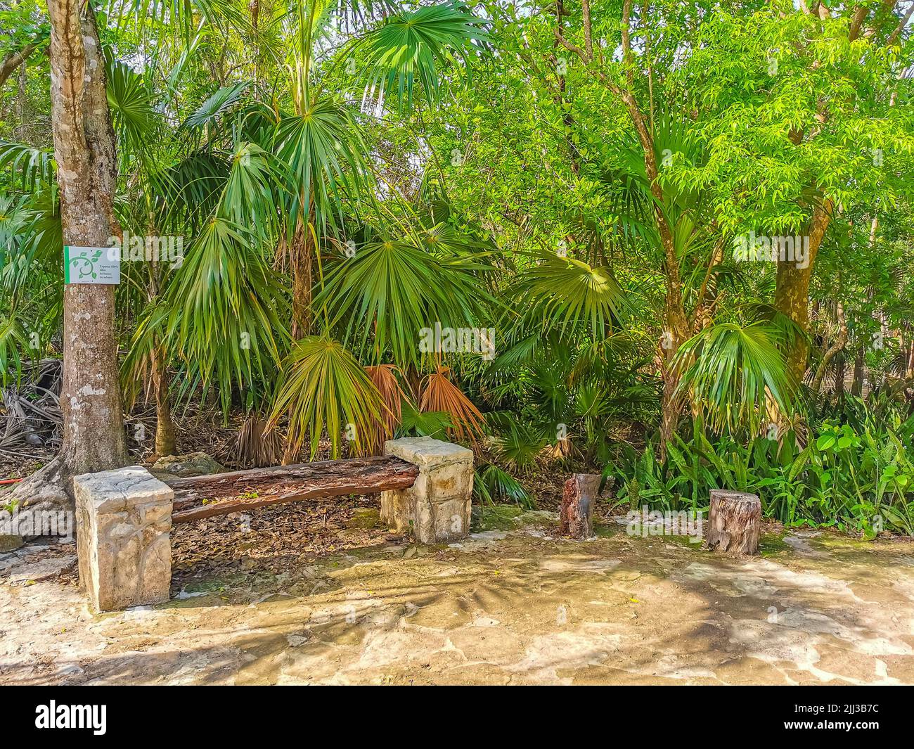 Ancient Tulum ruins Mayan site with temple ruins pyramids and artifacts ...