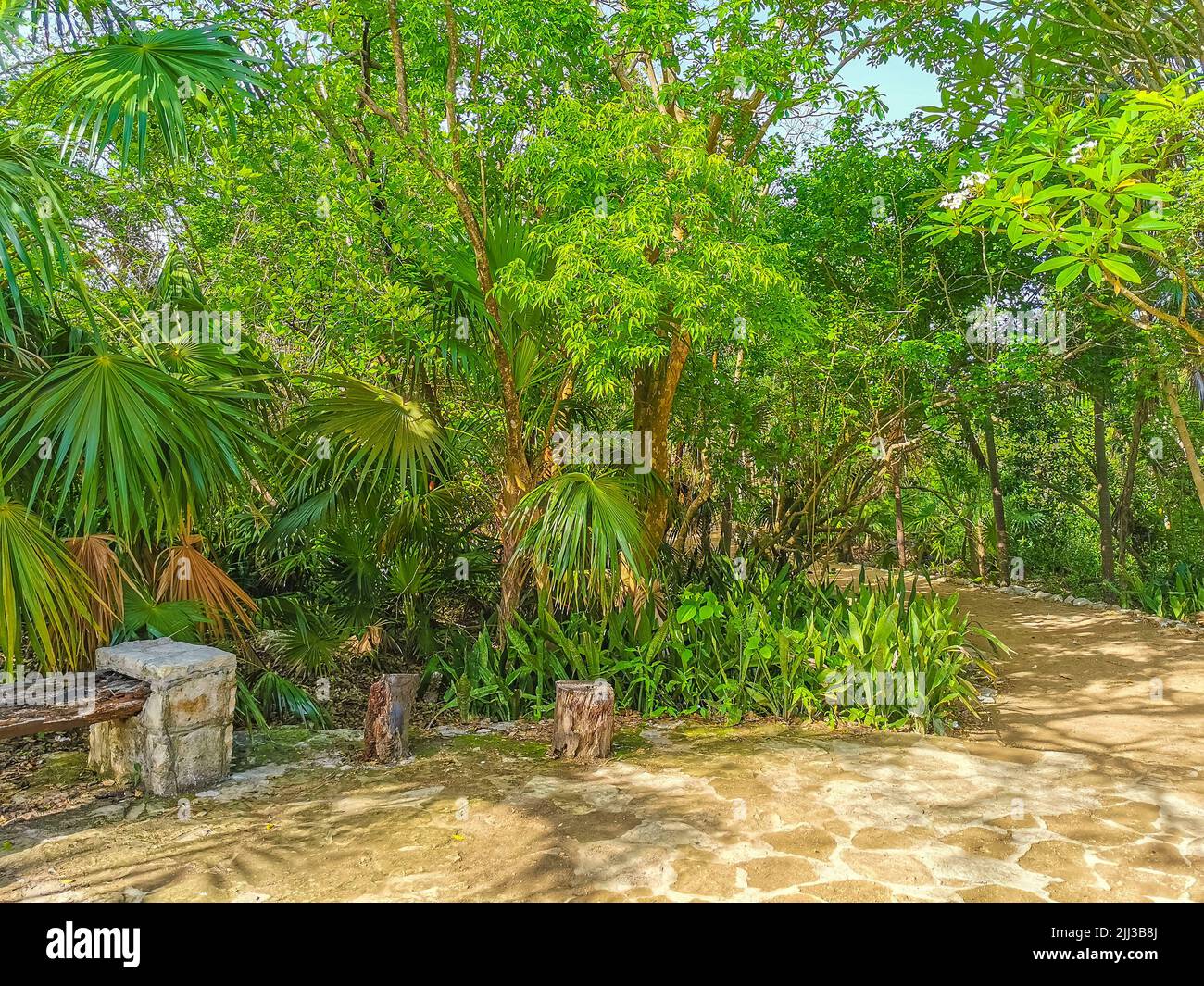 Ancient Tulum ruins Mayan site with temple ruins pyramids and artifacts ...