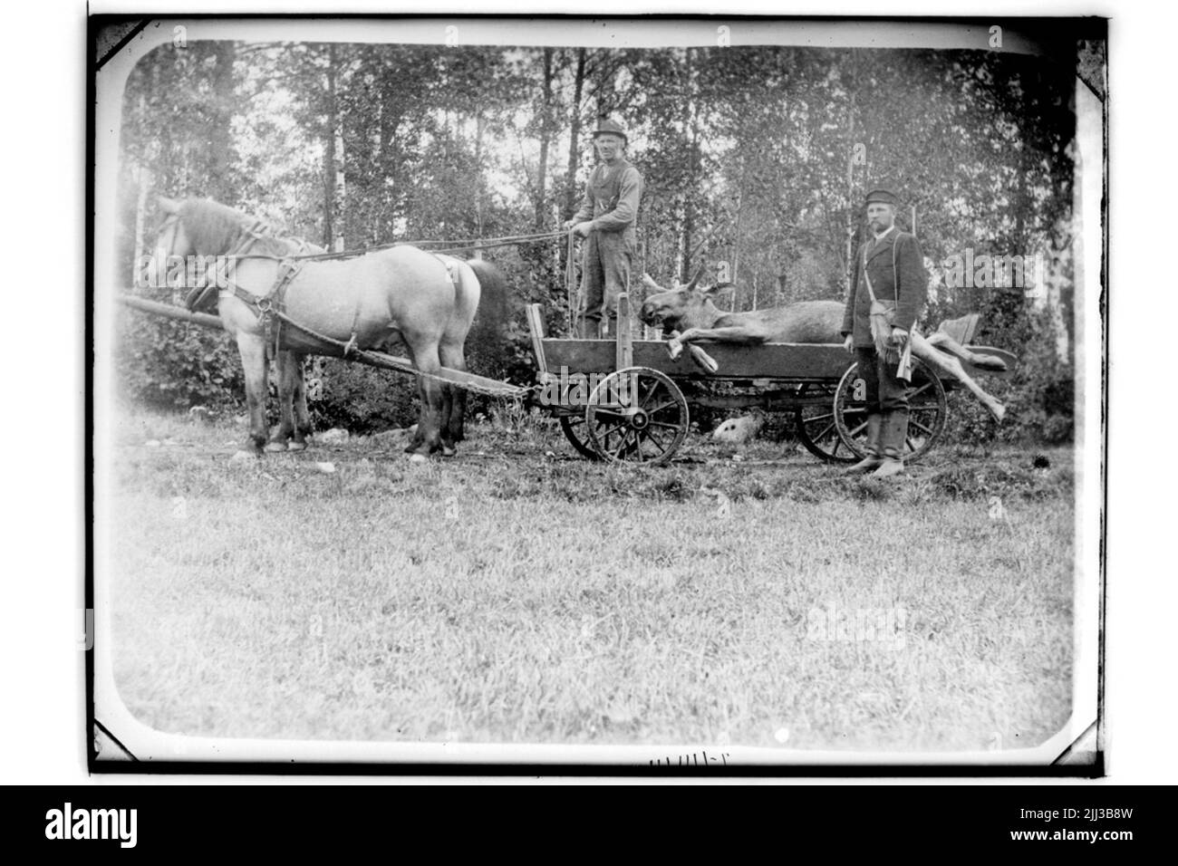 Moose and car Black and White Stock Photos & Images - Alamy