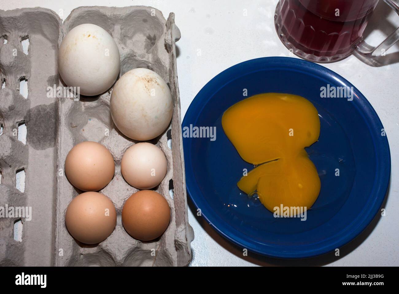 A Look at life in New Zealand: eating healthy, home-grown and wild ...