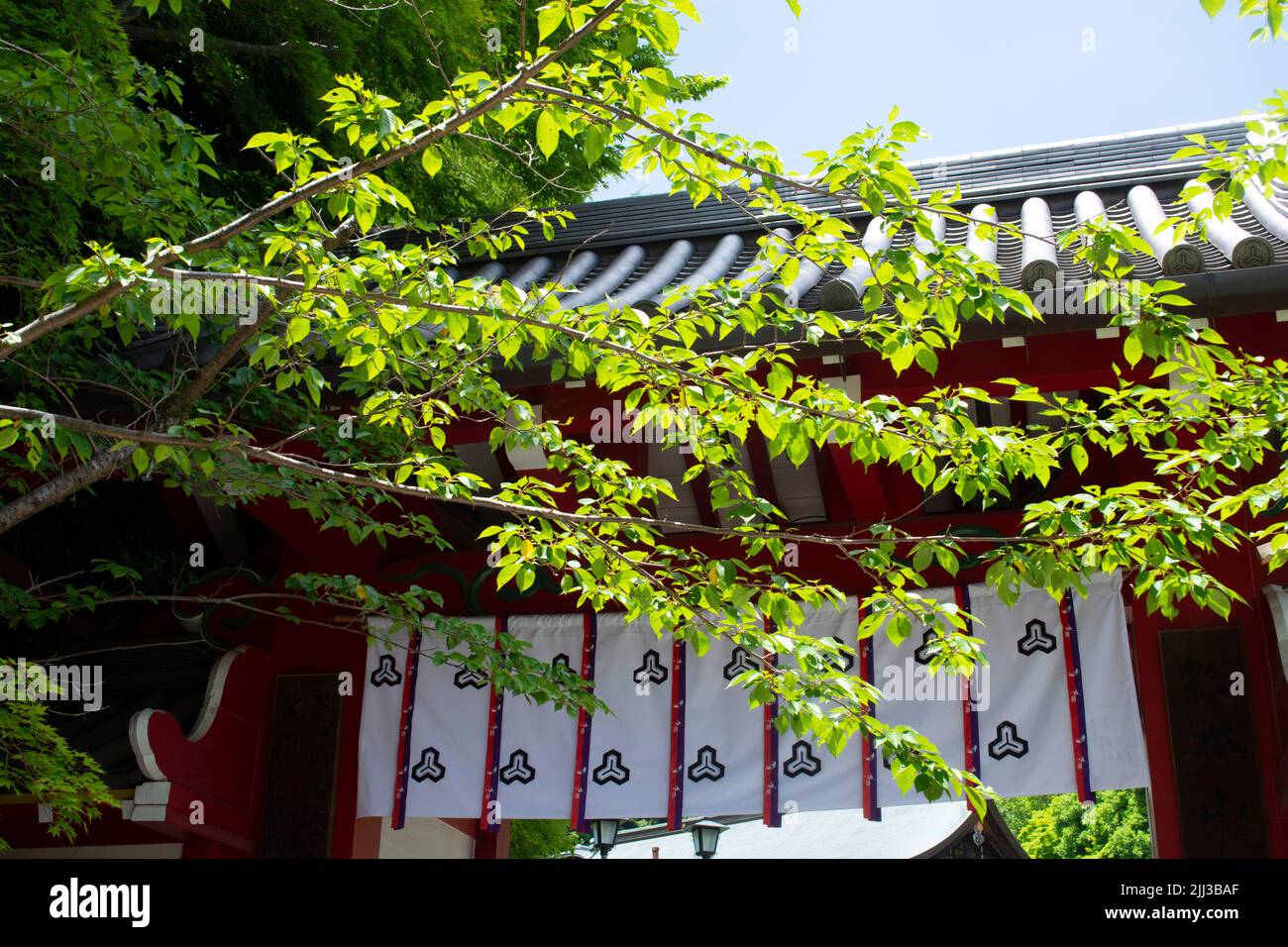 Traditional gate to temple - shrine with tree foliage in Japan Stock ...
