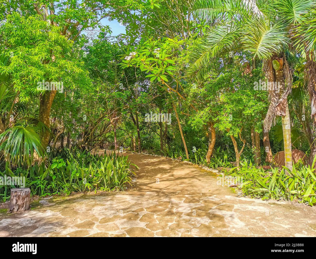 Ancient Tulum ruins Mayan site with temple ruins pyramids and artifacts ...