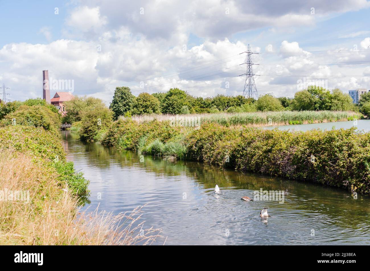 Coppermill Stream in summer on Walthamstow Wetlands, London Stock Photo ...