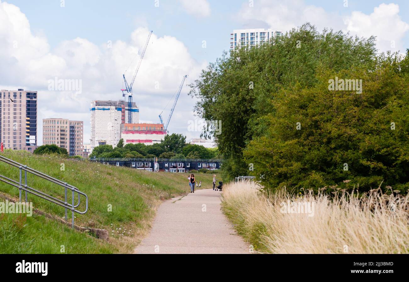 Path across Walthamstow Wetlands, Waltham Forest, London Stock Photo ...