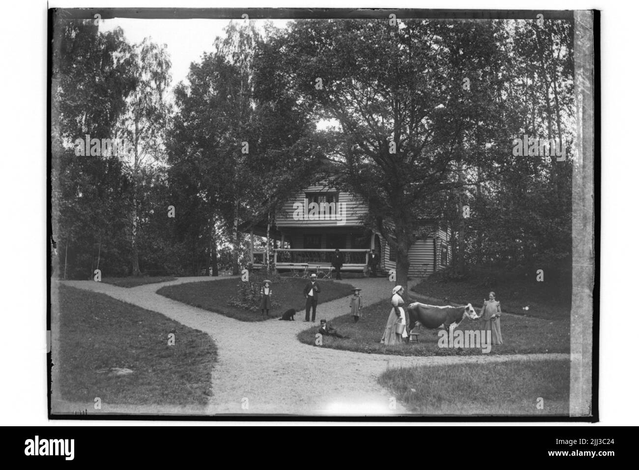 8 dog Cut Out Stock Images & Pictures - Alamy