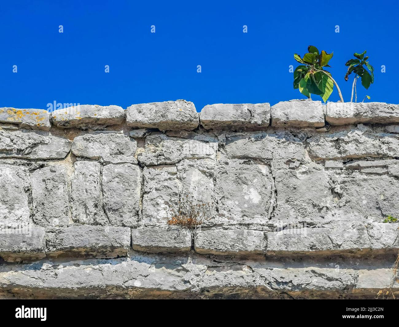 Texture and pattern of the ancient Tulum ruins Mayan site with temple ...