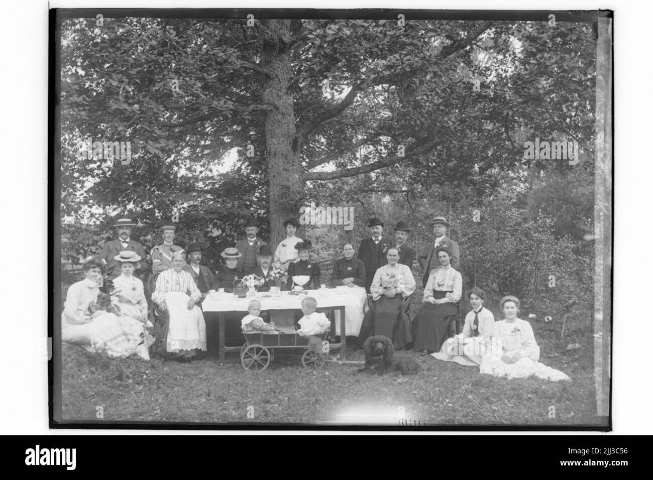 Ulriksborg?, Ekeby, Almby Sockengruppen 22 people and a dog. Crail ...