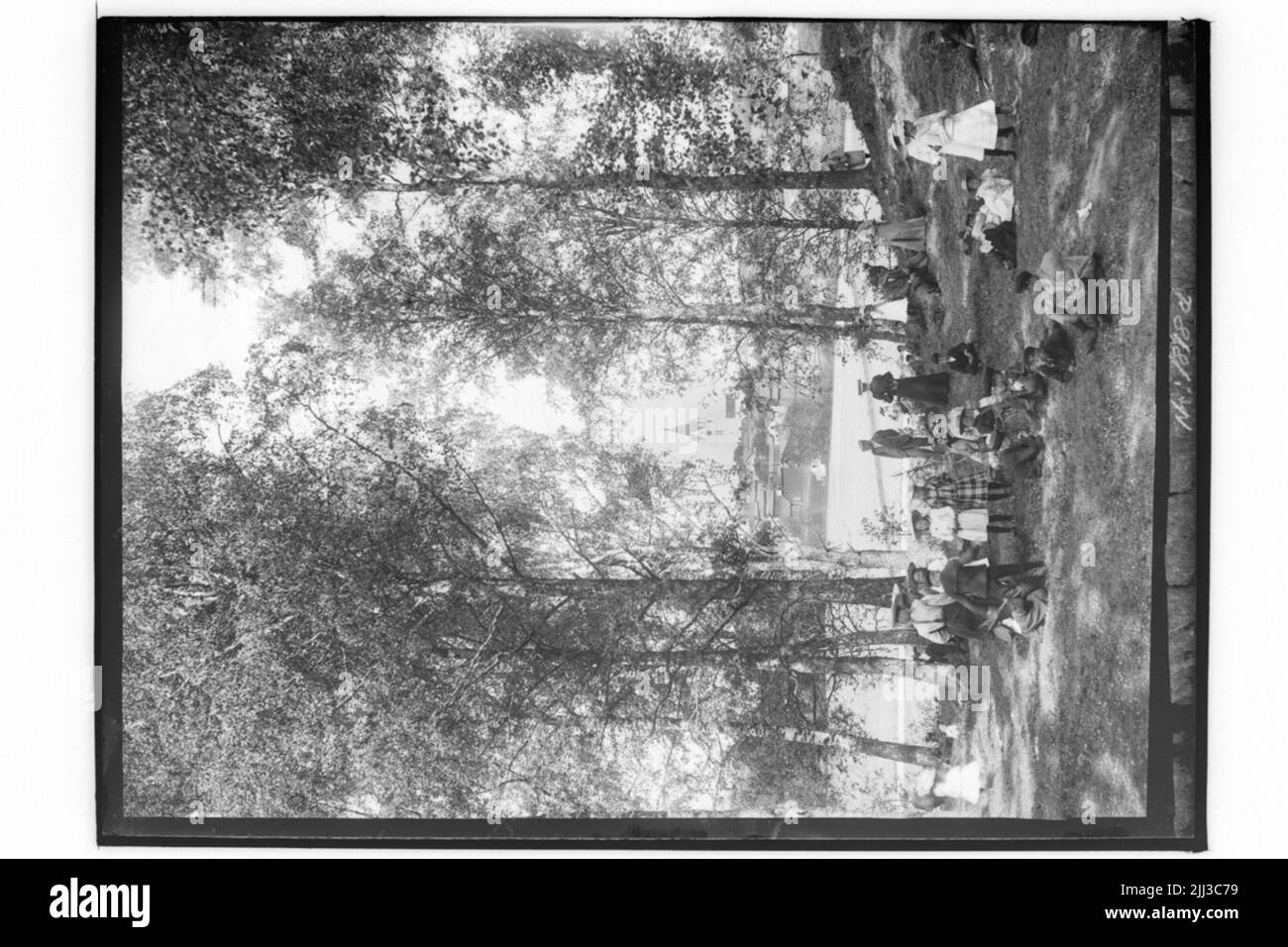 Photography excursion Cut Out Stock Images & Pictures - Alamy