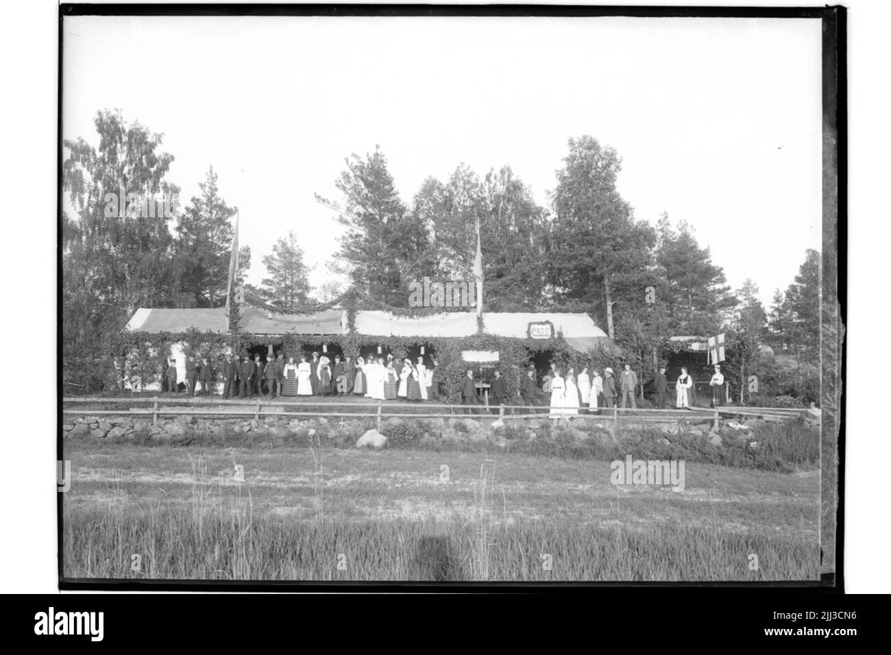 Forest visuals hi-res stock photography and images - Alamy